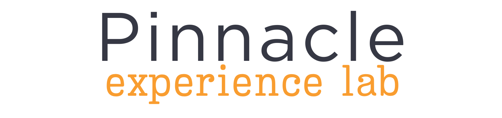 Workshops – Pinnacle Performance Group